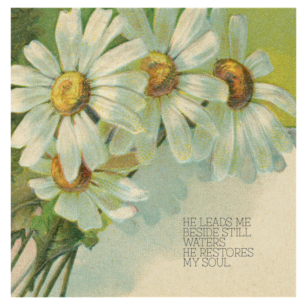 He leads me beside still waters, He restores my soul. Daisy Mini Canva ...