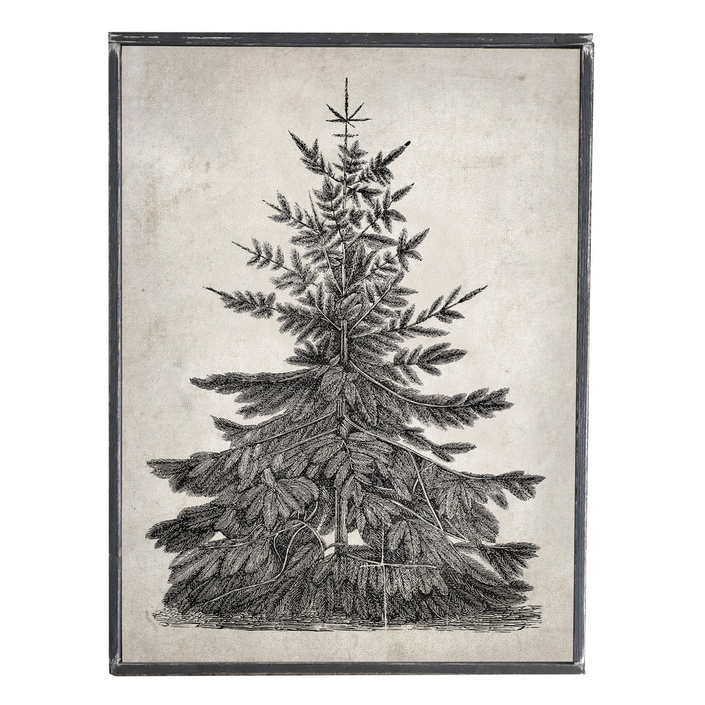 Evergreen Tree \\ Vintage Style Framed Print – Graphically Speaking Design