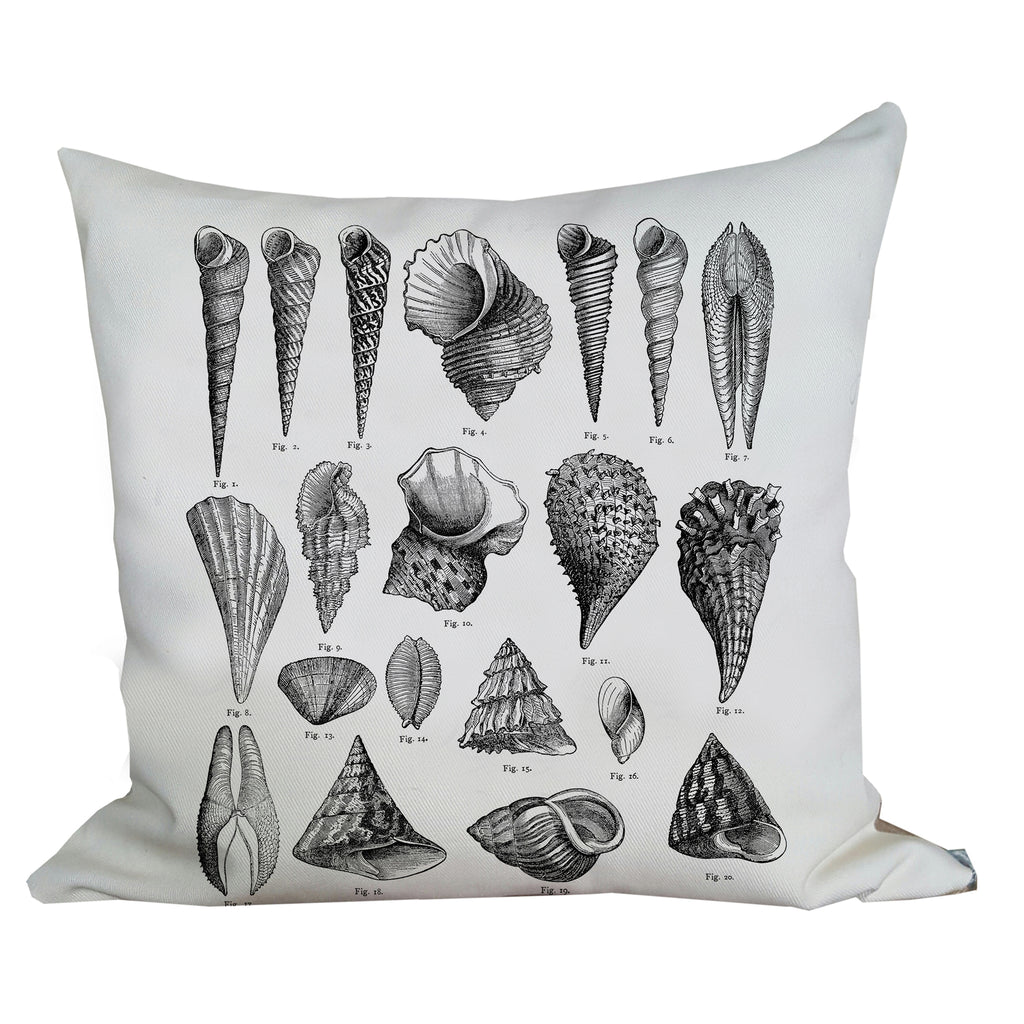 Vintage Seashell Pillow – Graphically Speaking Design